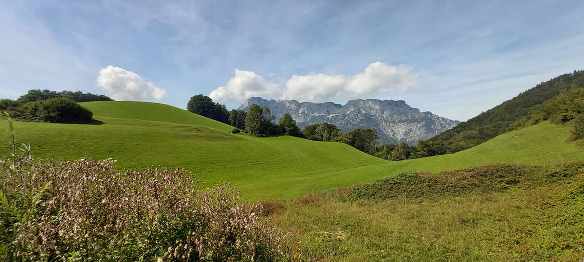 Infos- Daten und alles Wichtige zu Marktschellenberg....